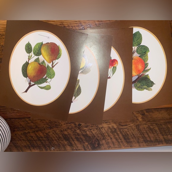 Art | Vintage Pyrus Communis Cox Pomona European Prints Fruit Botanical ...